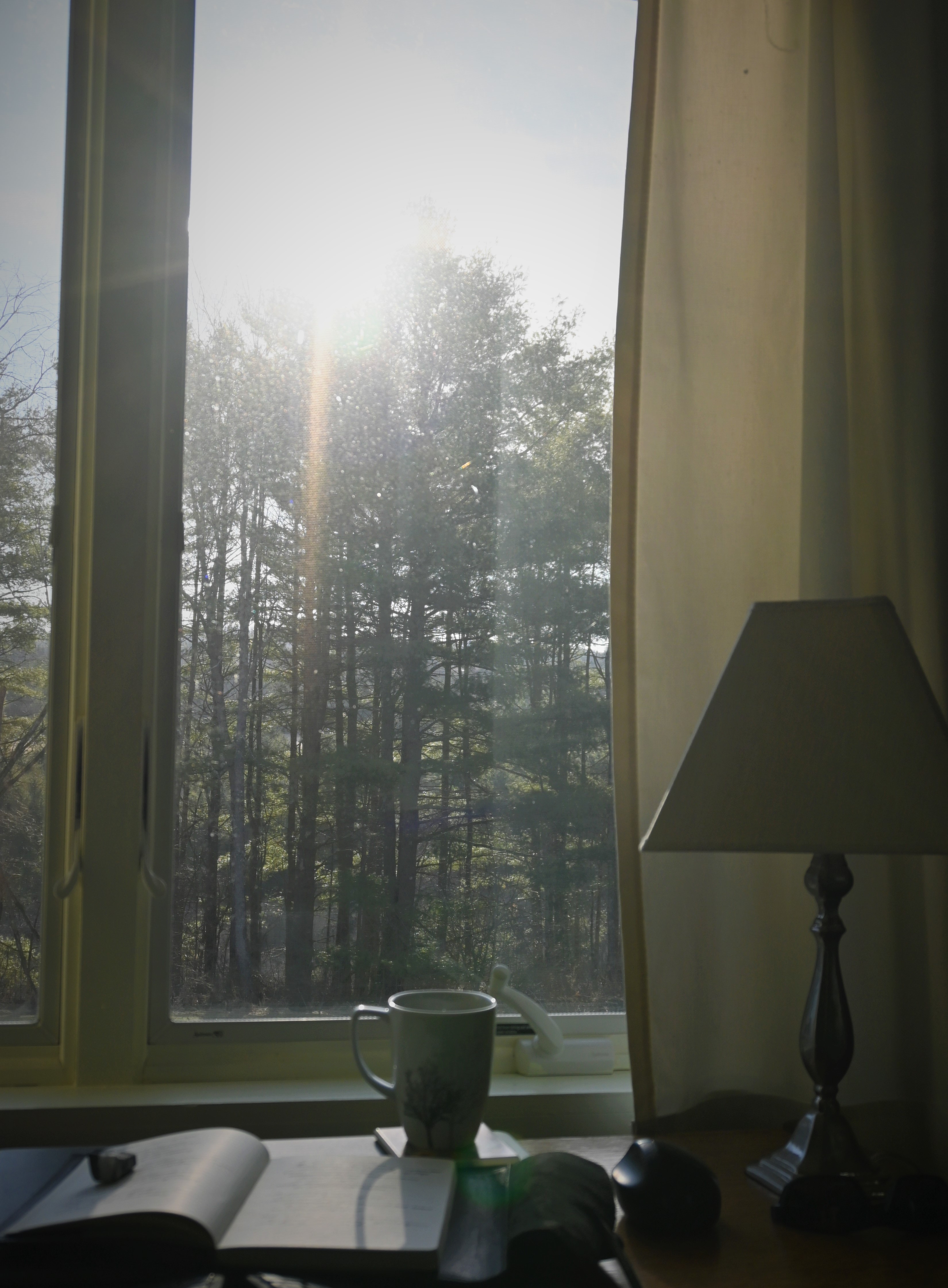 Morning Light – Crumbs for the Journey