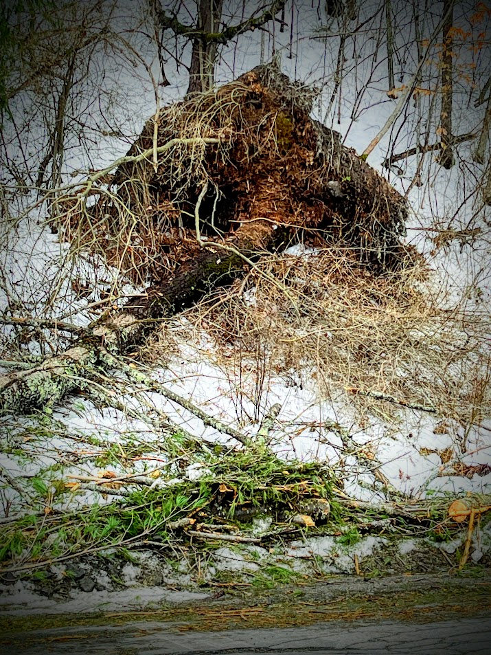 Broken – Crumbs for the Journey